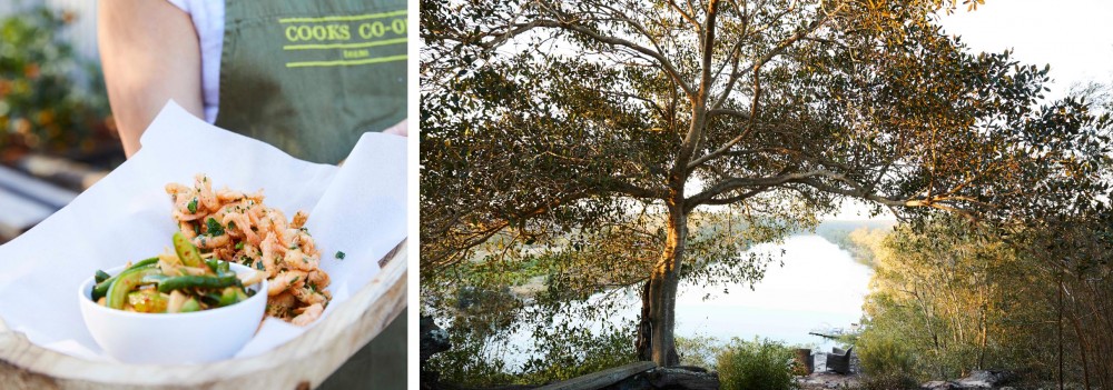 Cooks Co-op: a Culinary Journey Comes to an Emotional End | Harvey Norman