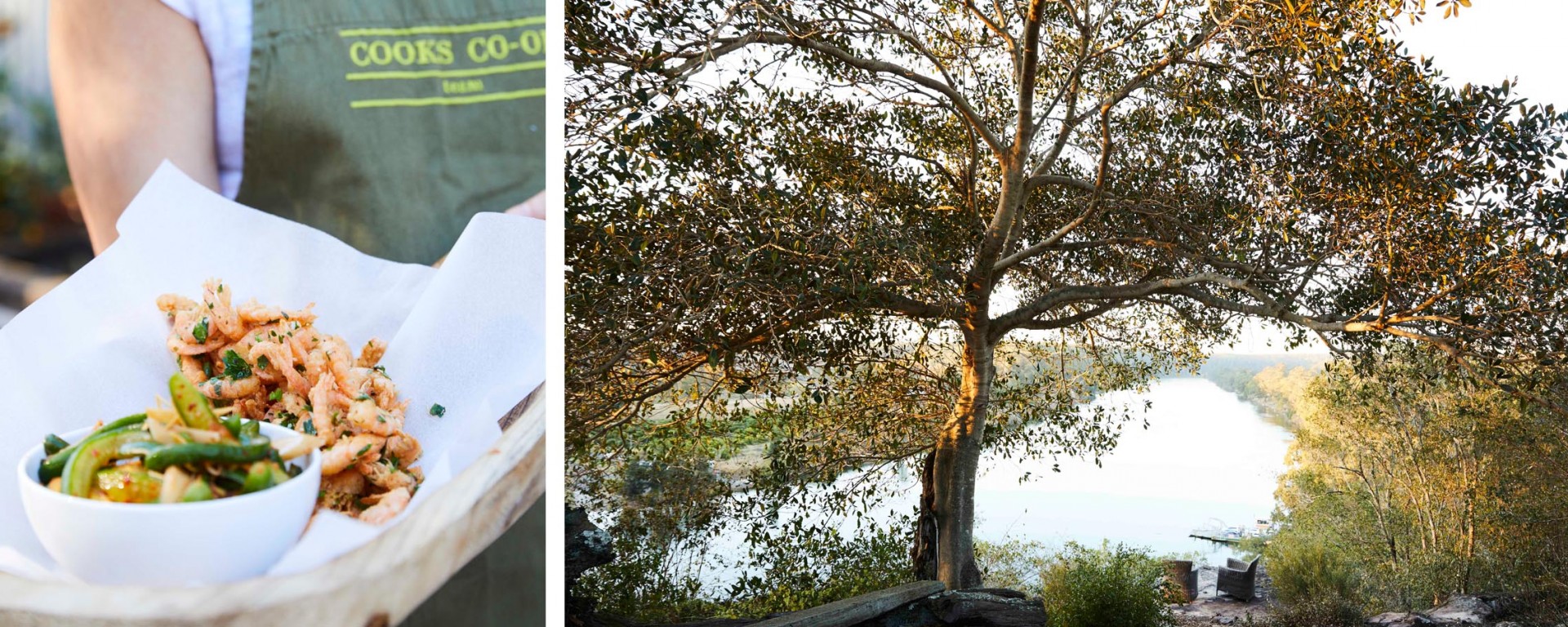 Cooks Co-op: a Culinary Journey Comes to an Emotional End | Harvey Norman