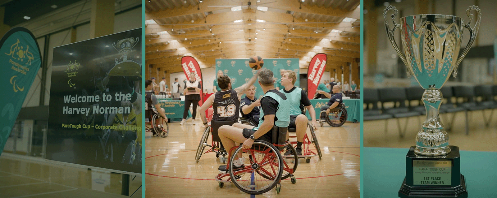 Latest News: Harvey Norman Para-Tough Cup | Harvey Norman
