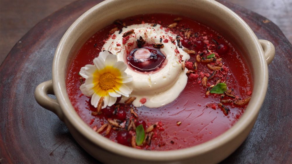 MasterChef Australia Recipe: Rødgrød Med Fløde Jelly & Ice Cream ...