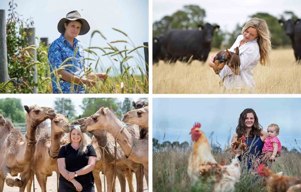 Shine Awards 2020: Honouring & Empowering Rural Women | Harvey Norman