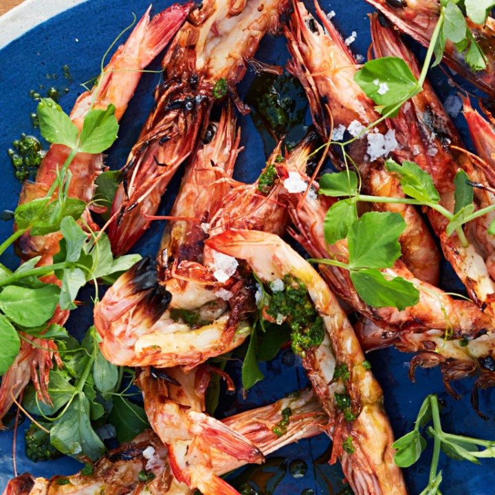 Grilled Salmon Kebabs With Zucchini And Dill Sauce | Harvey Norman ...